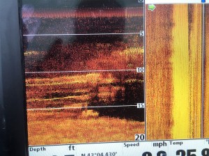 FISH CRIBS | PEWAUKEE WALLEYES